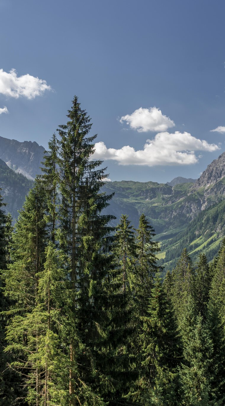 Aktuelles Wetter im Kleinwalsertal | Kleinwalsertal