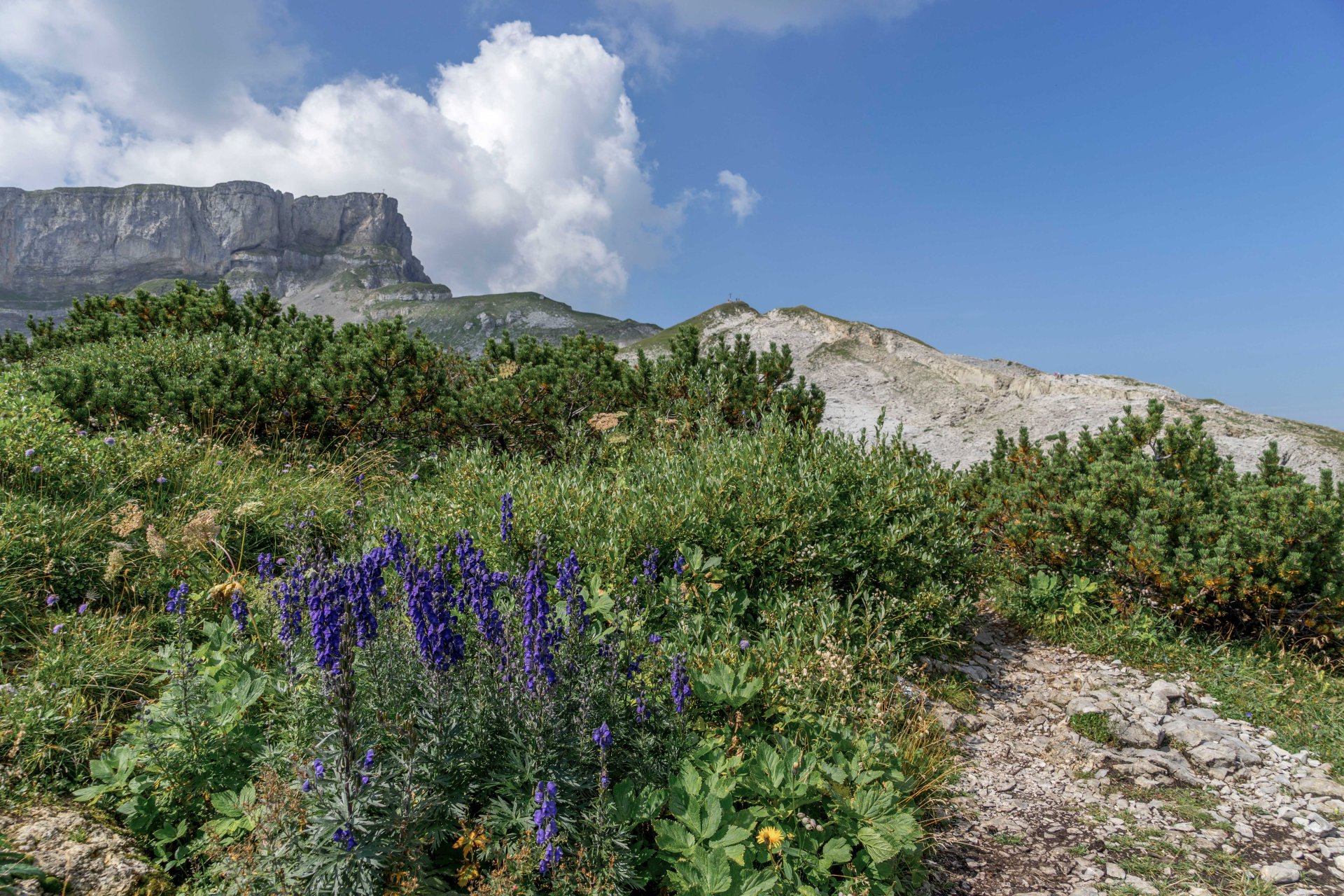 Hoher Ifen entdecken | Kleinwalsertal