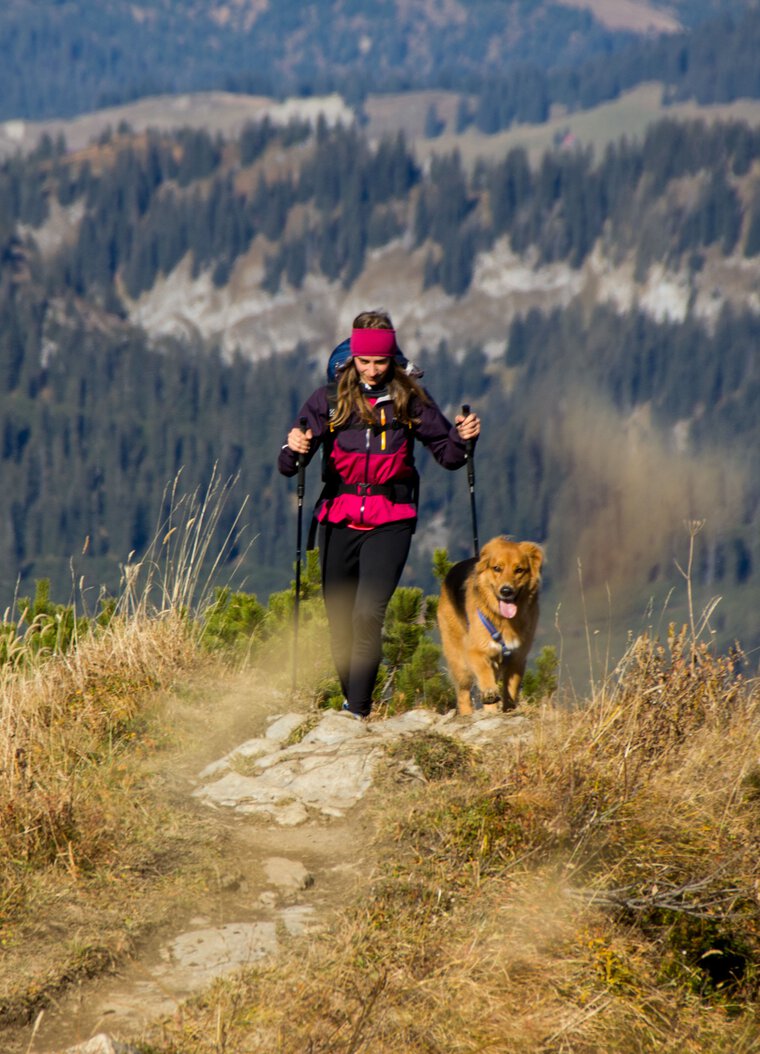Berghtte Kleinwalsertal Mit Hund